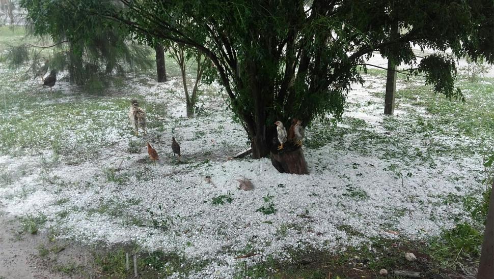 Las imágenes de los destrozos que dejó el granizo en el este - Tuc Sin ...